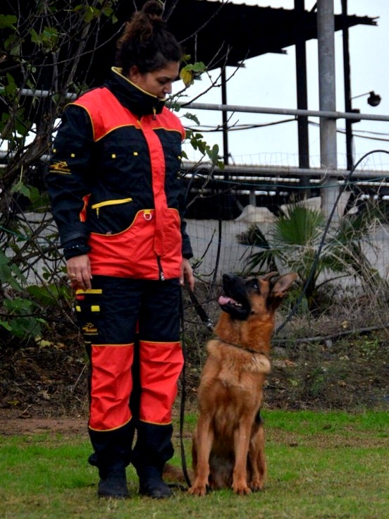 Dog Training Padded Suit for Sale from the Producer