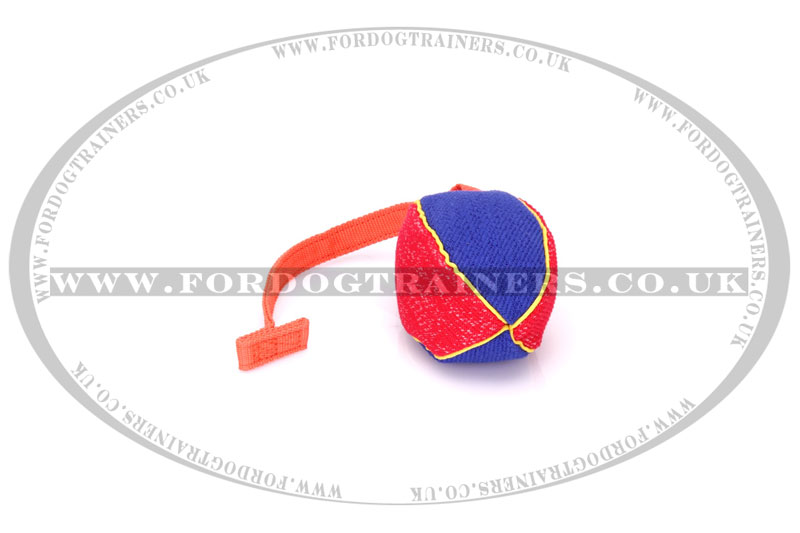 Soft Indestructible Dog Ball with Handle for Puppy Training - £21.99