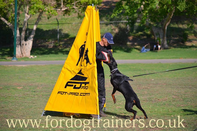 Blind Dog Equipment at Douglas Sexton blog