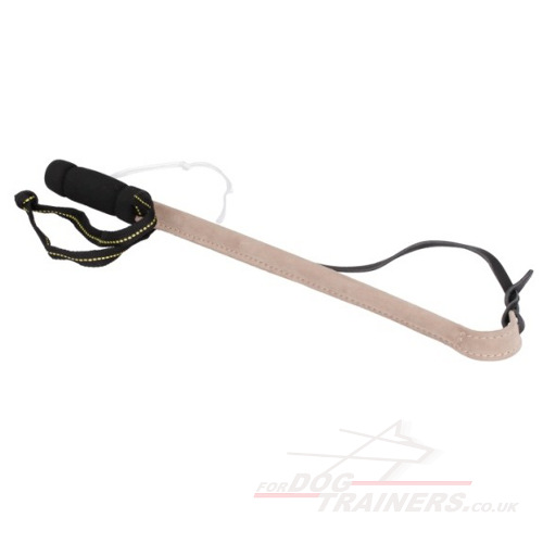 The Best Quality Dog Training Whip from Producer 22 in Dog Training ...