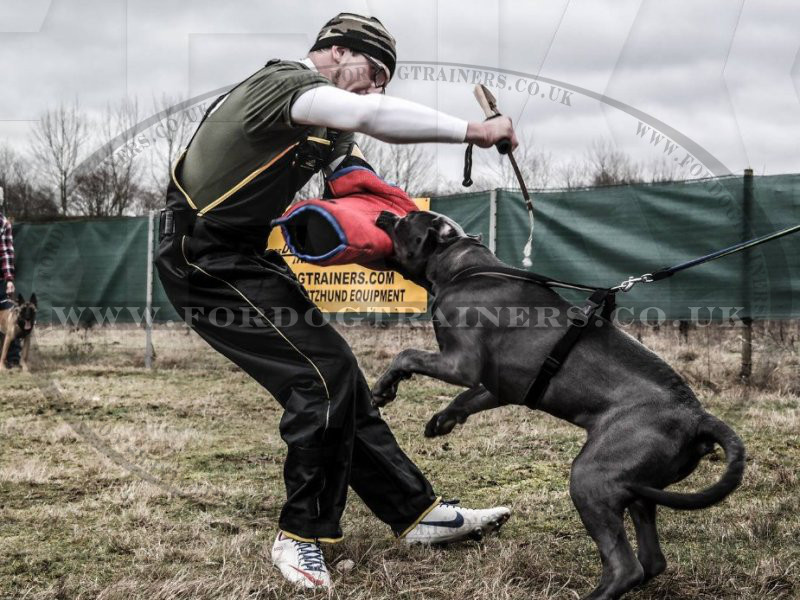 Whip for Dog Training with Soft Handle and Leather Lining - £30.99