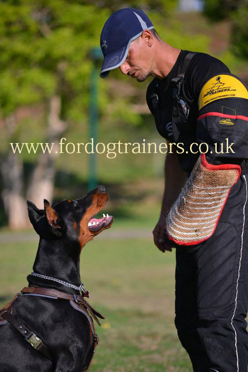 Bite Sleeve for IGP Dog Training | Light Bite Sleeve
